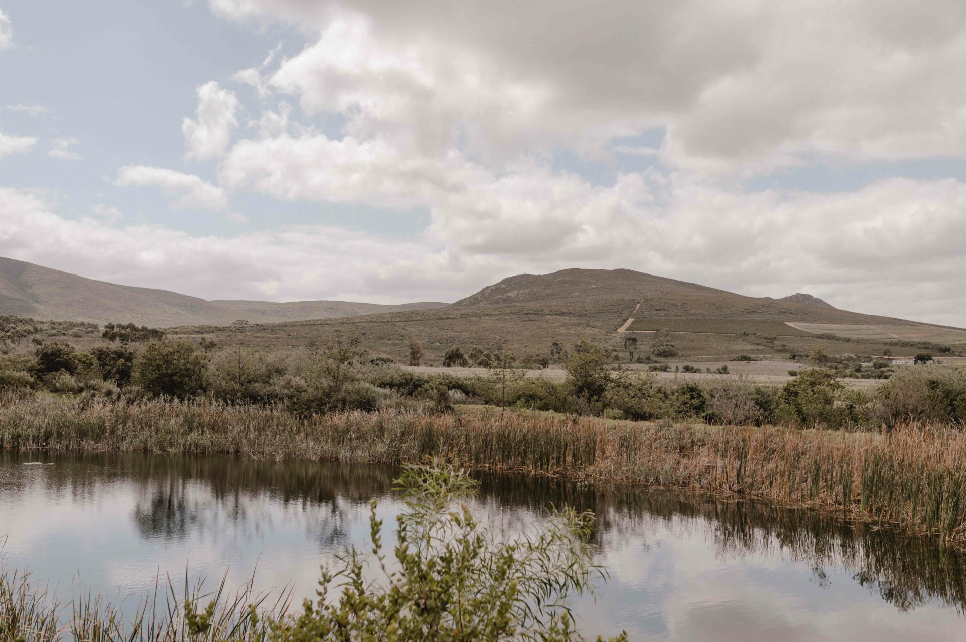 Luke & Jendi's Autumn Union at the Nightjar | De Uijlenes